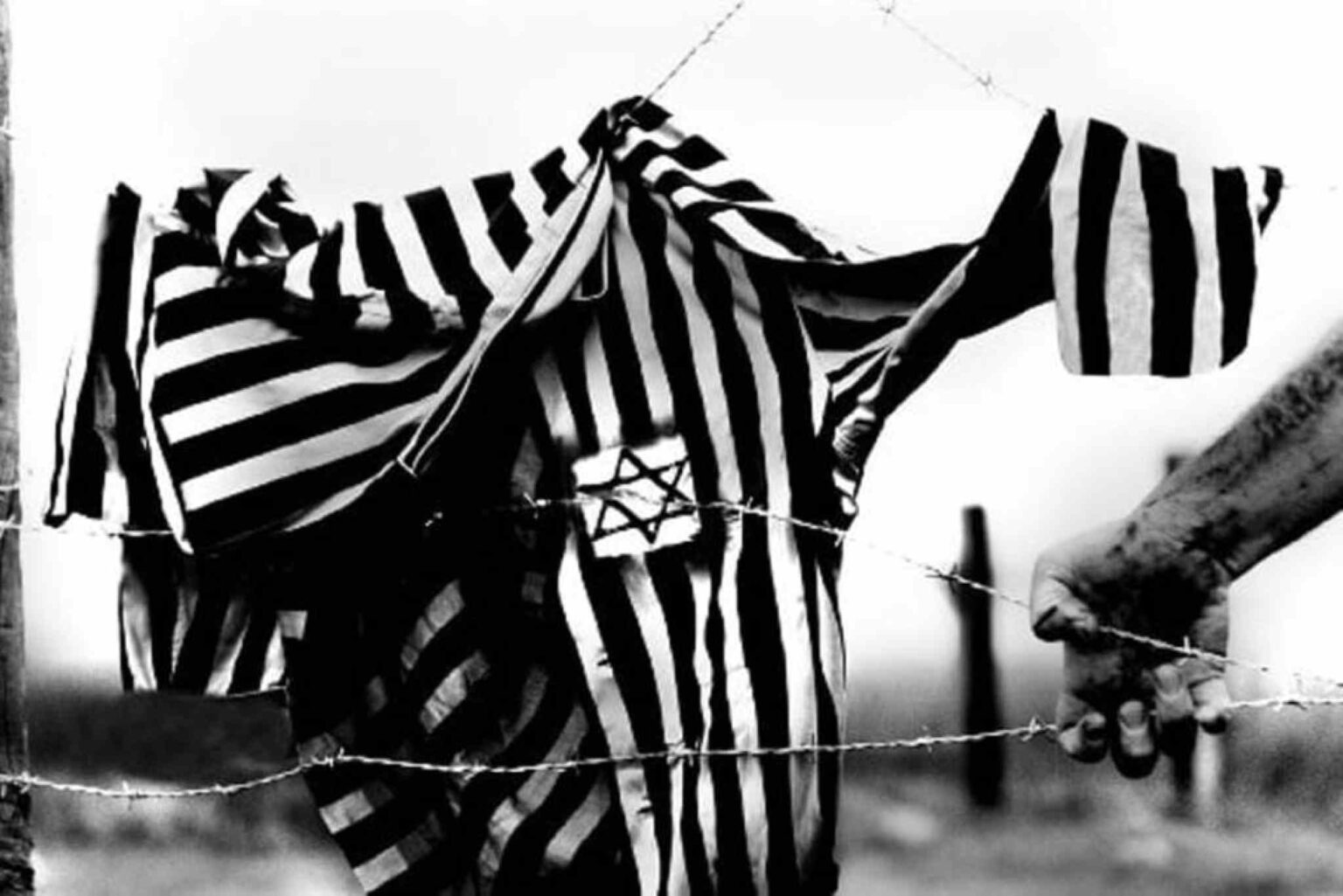 Martedì 27 gennaio Viterbo celebra la Giornata della Memoria ...