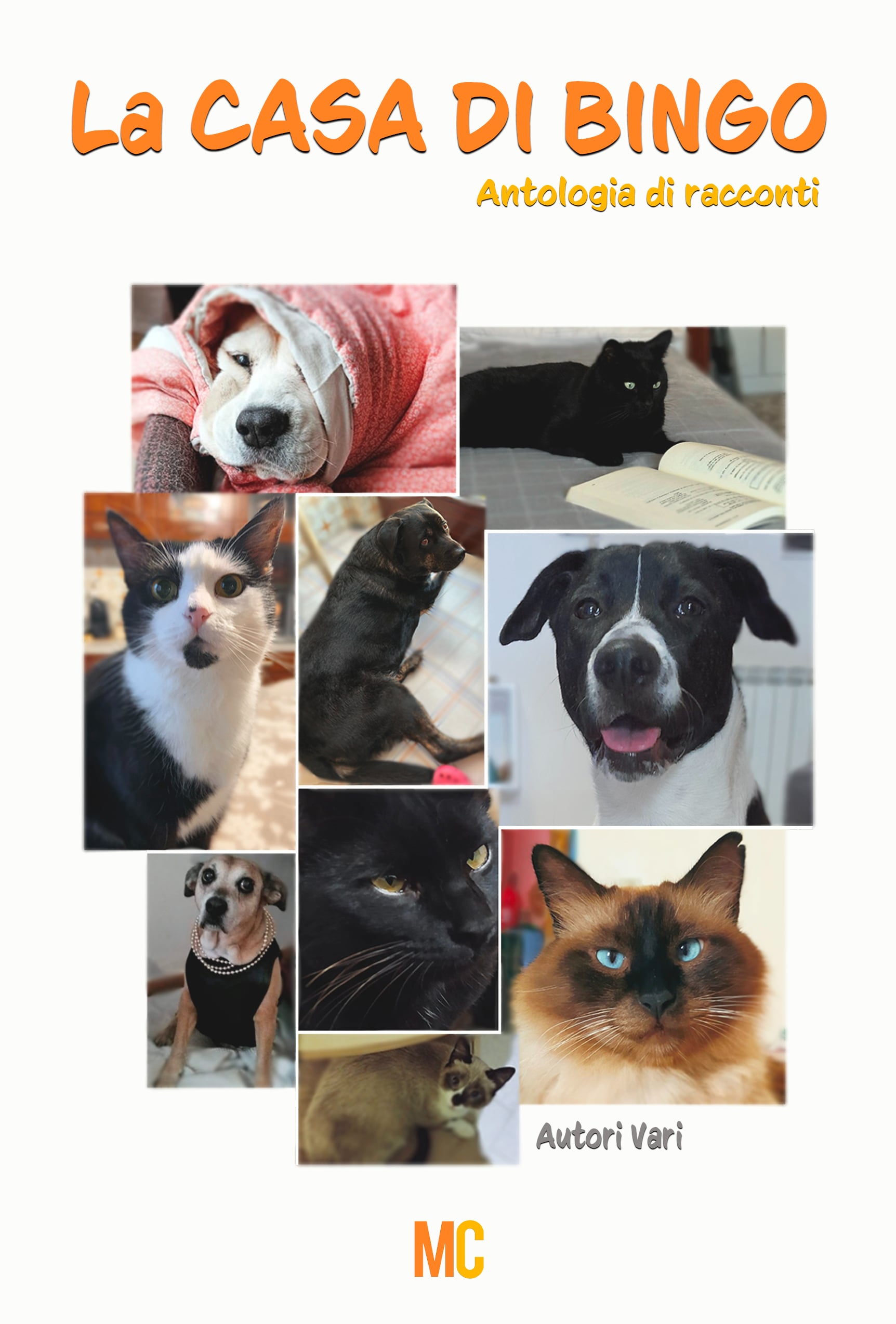 Scrittori italiani uniti nell'aiutare il rifugio la Casa di Bingo ...