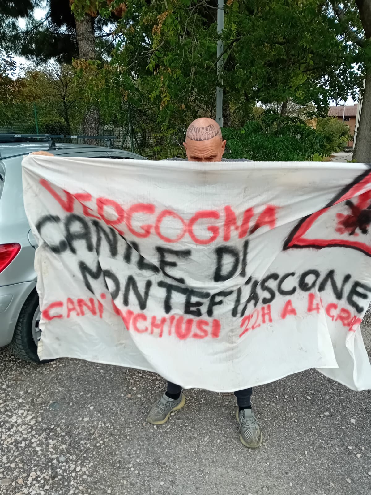 Gli animalisti piangono Domenico Costantini - Occhioviterbese
